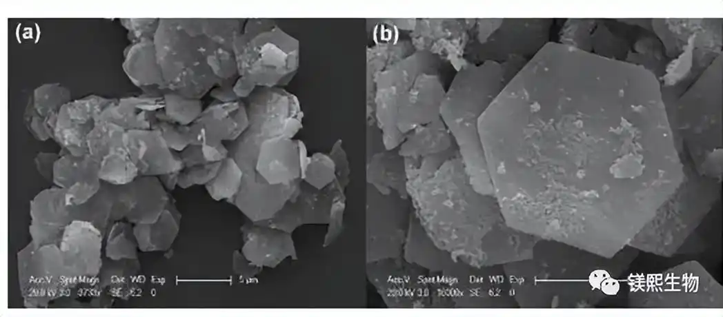 Applications of Hexagonal Magnesium Hydroxide as a Catalyst or Catalyst ...
